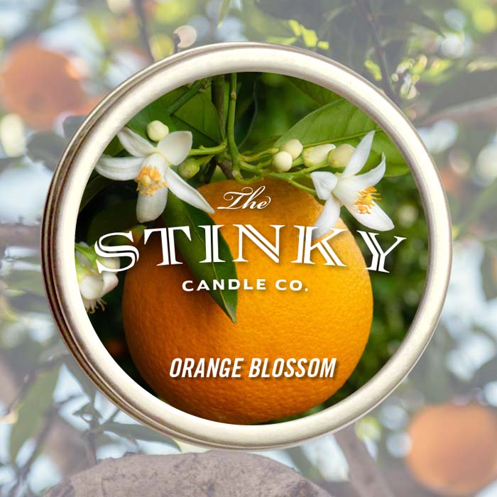 Orange Blossom Candle – The Stinky Candle Company
